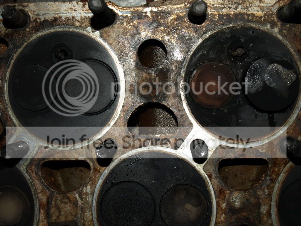 Corrado slc Serious head pitting(now with pics)) | VW Vortex ...