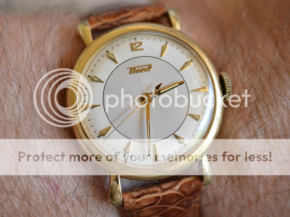 TimeZone : Lifestyle & Entertainment » NCD! (new camera day)