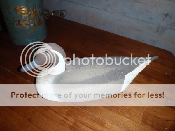 LL Bean Pintail drake photos | Duckboats